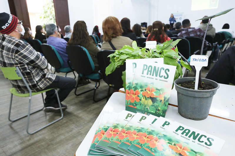 Curso gratuito vai orientar sobre produção e comercialização de Pancs ...